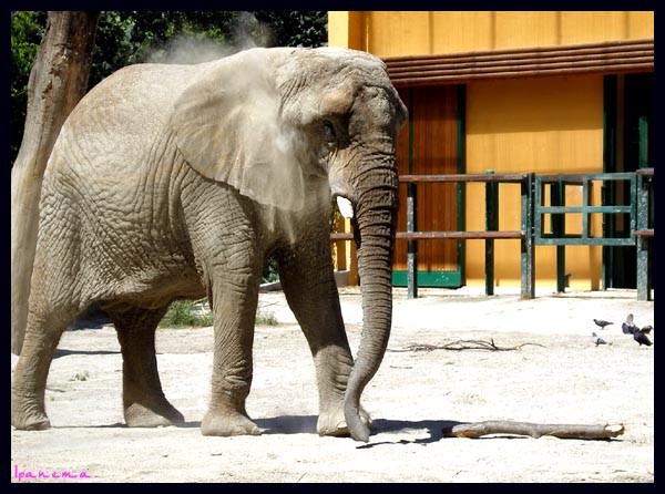 Grad Zagreb službene stranice