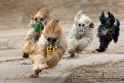 Grad Zagreb službene stranice